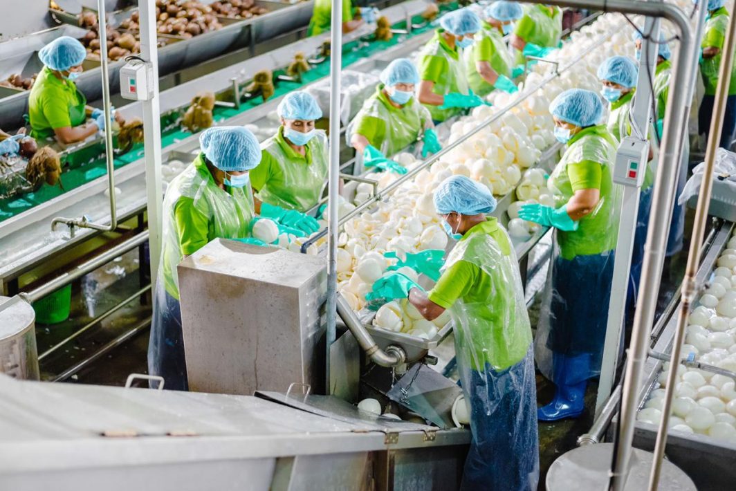 Welcome i 💚 COCO - i 💚 COCO