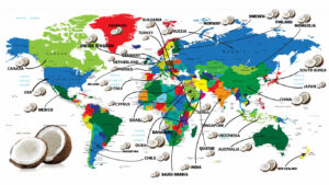 Contact - i 💚 COCO